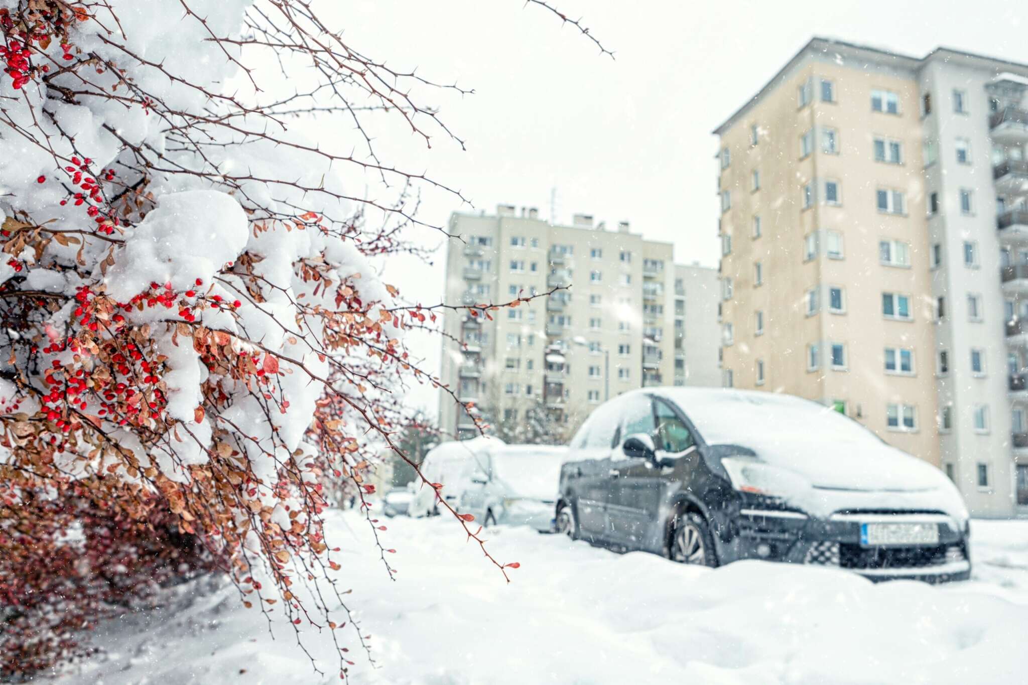 Vortex polar peste România! Urmează 13 zile consecutive de NINSOARE ...